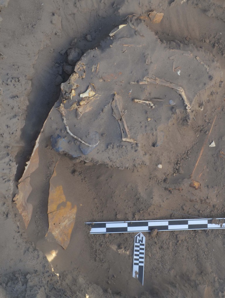 Dog Burial – TOMBOS ARCHAEOLOGICAL SITE